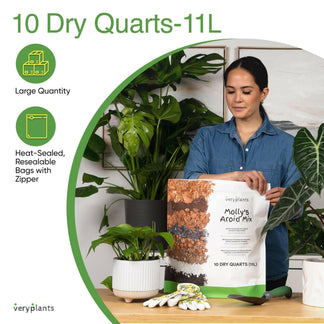 Molly's Aroid Mix - Premium Tropical Plant Soilless Potting Mix ...