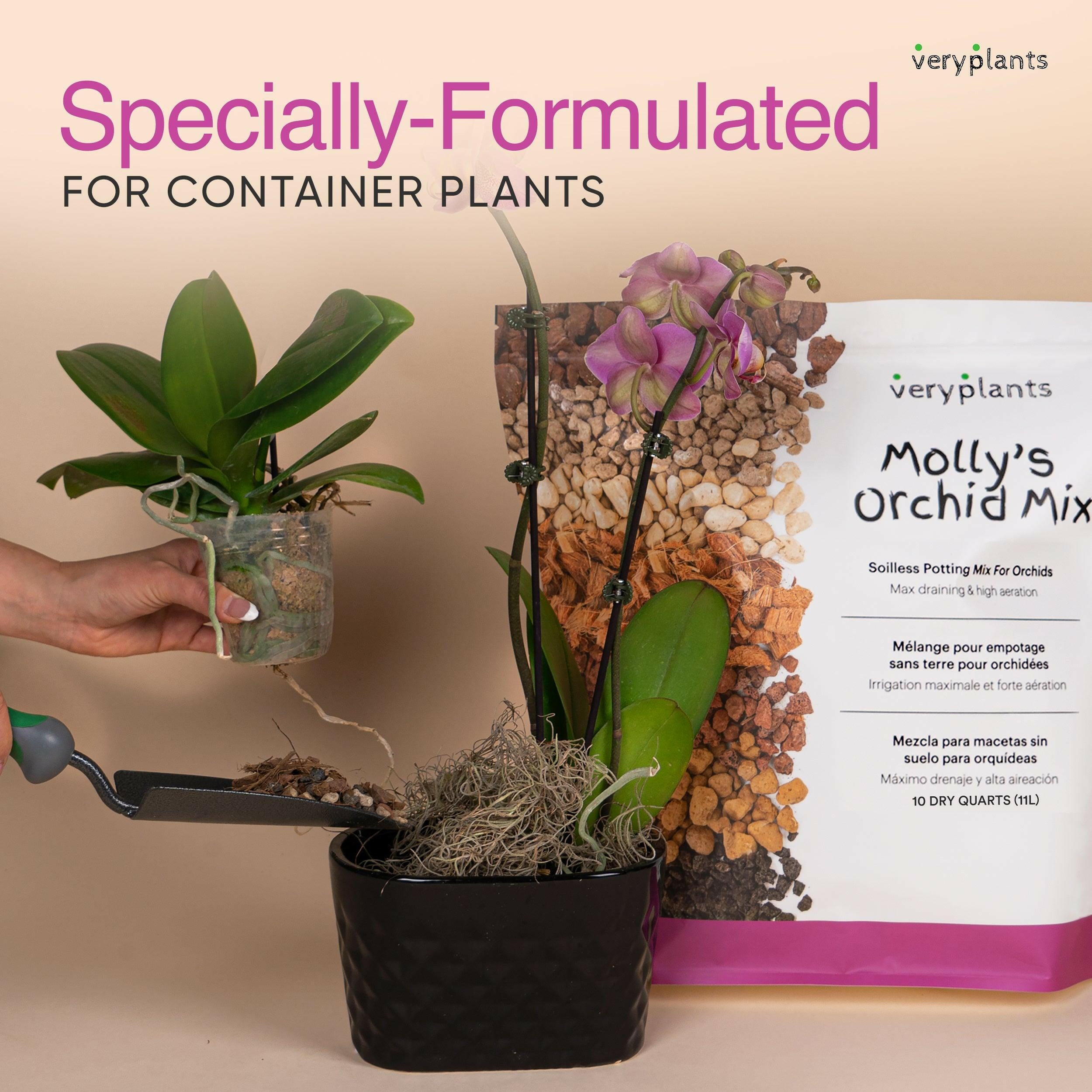 Molly's Premium Soilless Potting Mixes for Indoor Plants, Succulents ...