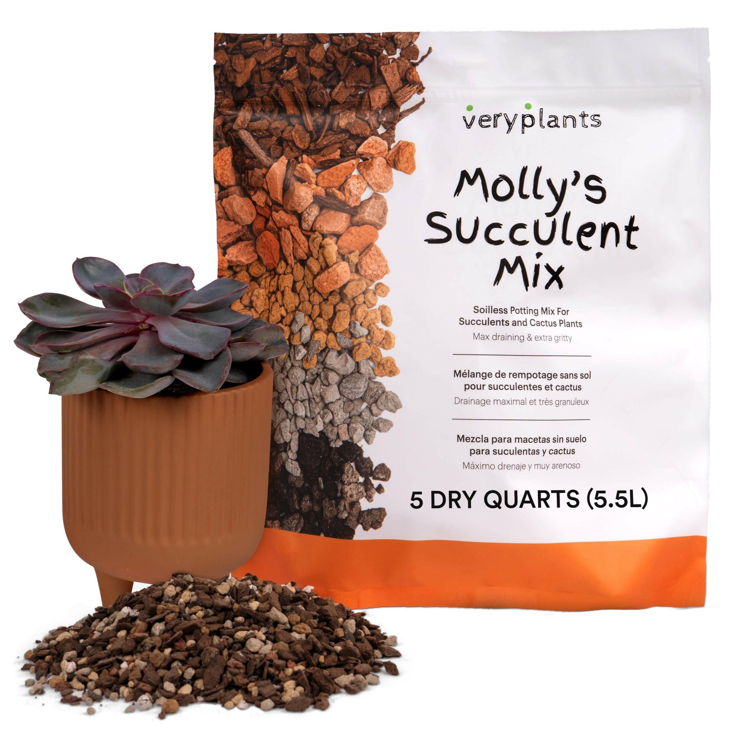 Molly s Premium Soilless Potting Mixes For Indoor Plants Succulents molly-s-premium-soilless-potting-mixes-for-indoor-plants-succulents